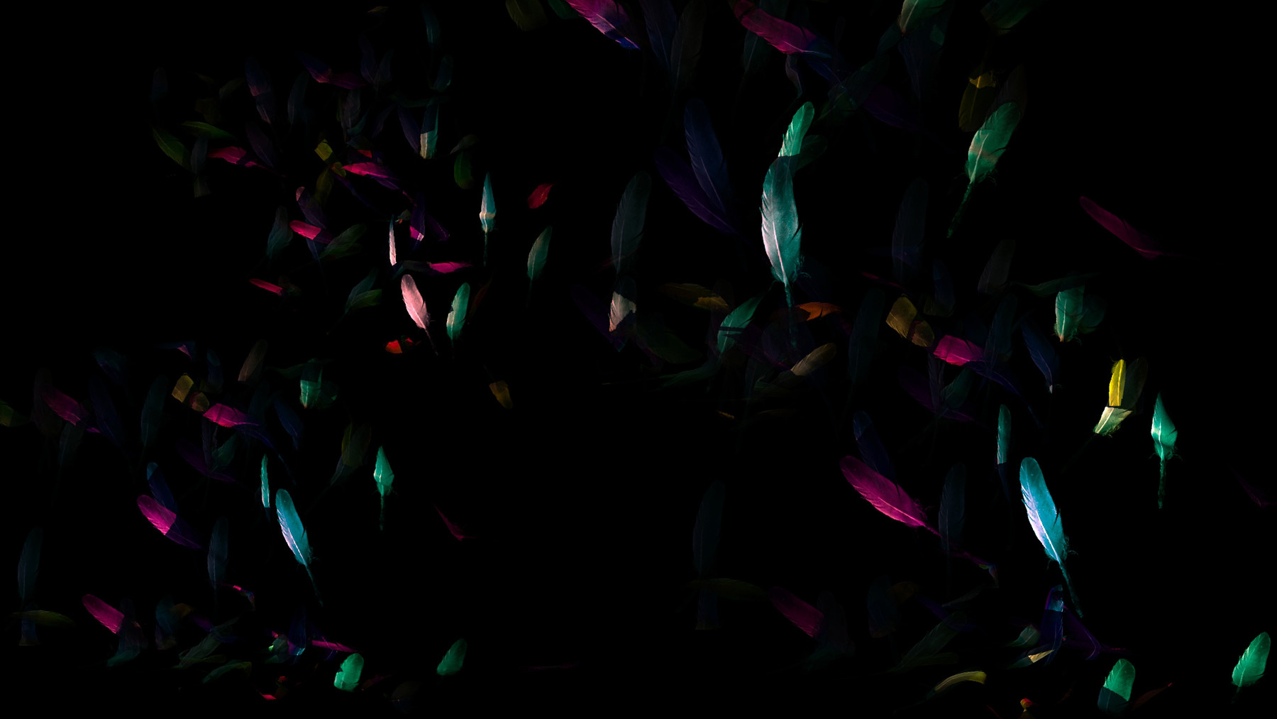 ArtStation - Feathers Alphas Vol.1 | Brushes