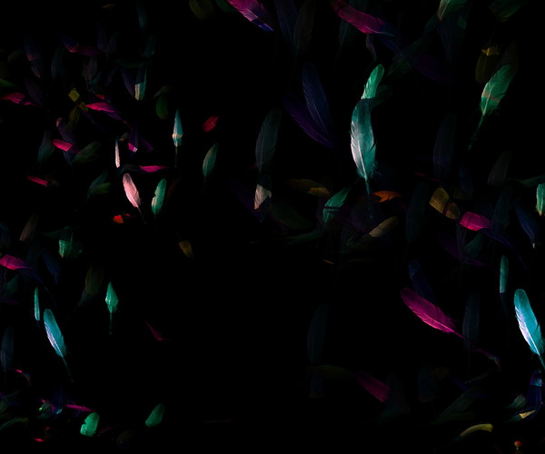 ArtStation - Feathers Alphas Vol.1 | Brushes