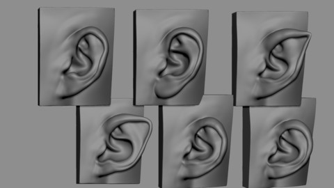 ArtStation - Ear Model Collection | Resources