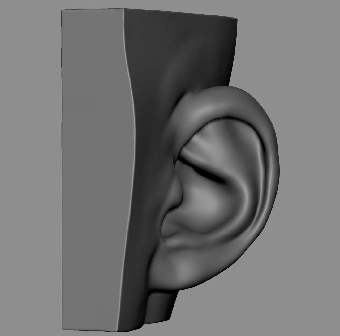ArtStation - Ear Model Collection | Resources