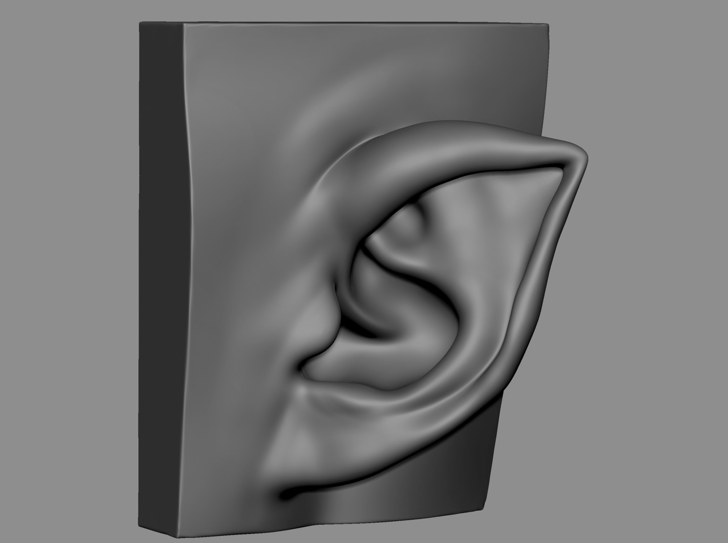 ArtStation - Ear Model Collection | Resources