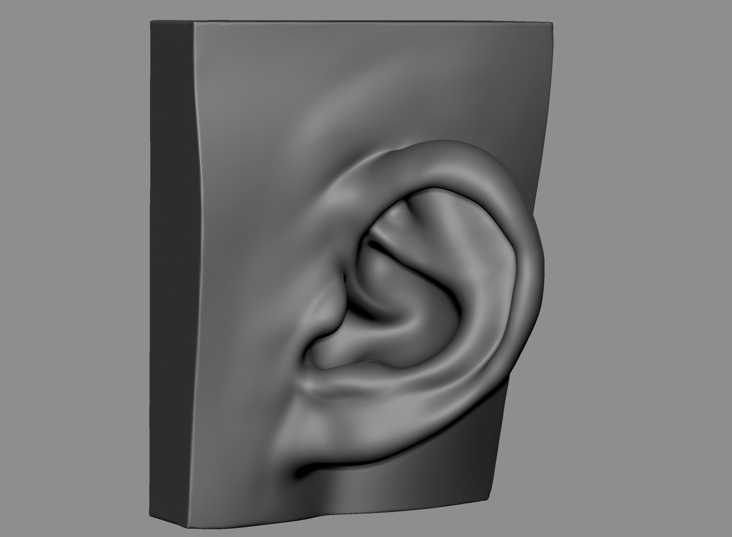 ArtStation - Ear Model Collection | Resources