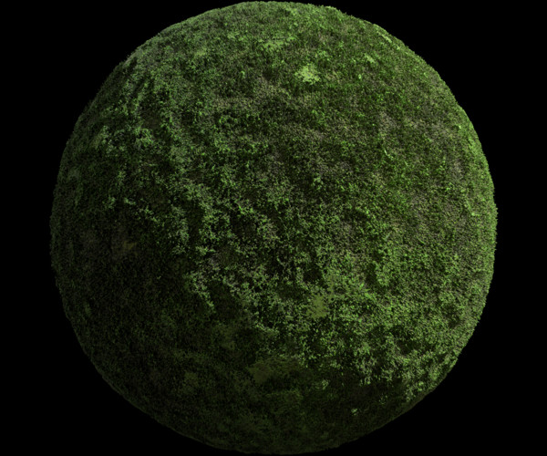 ArtStation - 84. Moss#02 | Game Assets