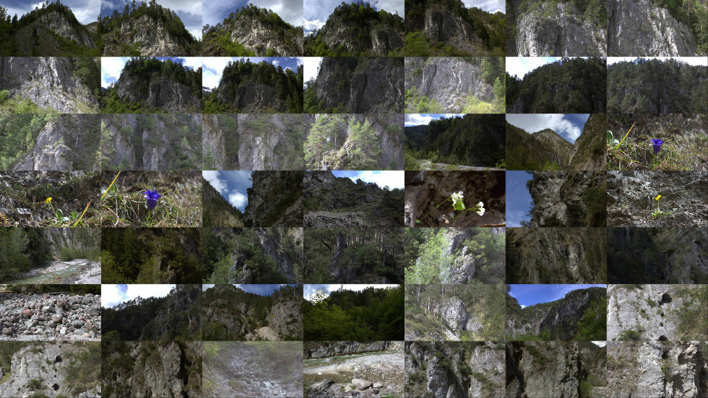 ArtStation - ALPINE CANYON REFERENCE PACK | Resources