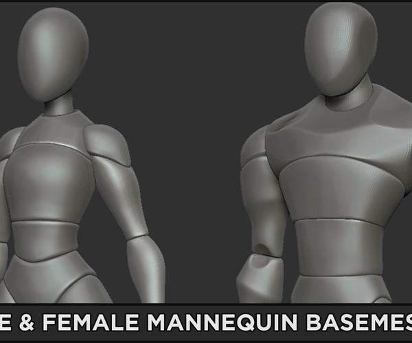 ArtStation - BASEMESH - Male / Female Mannequins | Resources