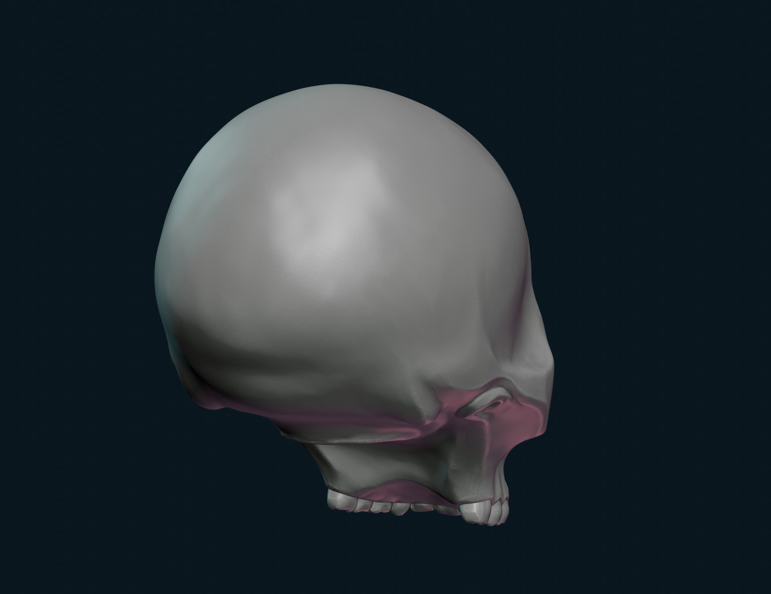 ArtStation - Stylized Skull | Resources