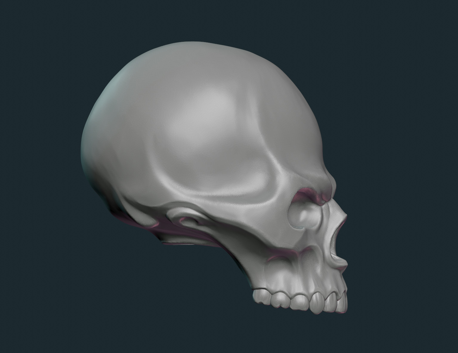 ArtStation - Stylized Skull | Resources