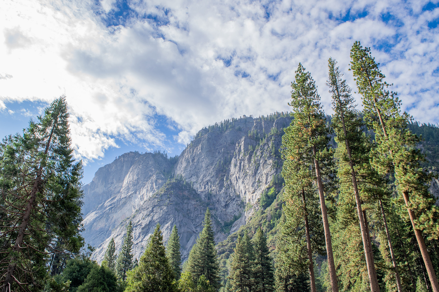 ArtStation - Reference: Yosemite National Park pack 180 | Resources