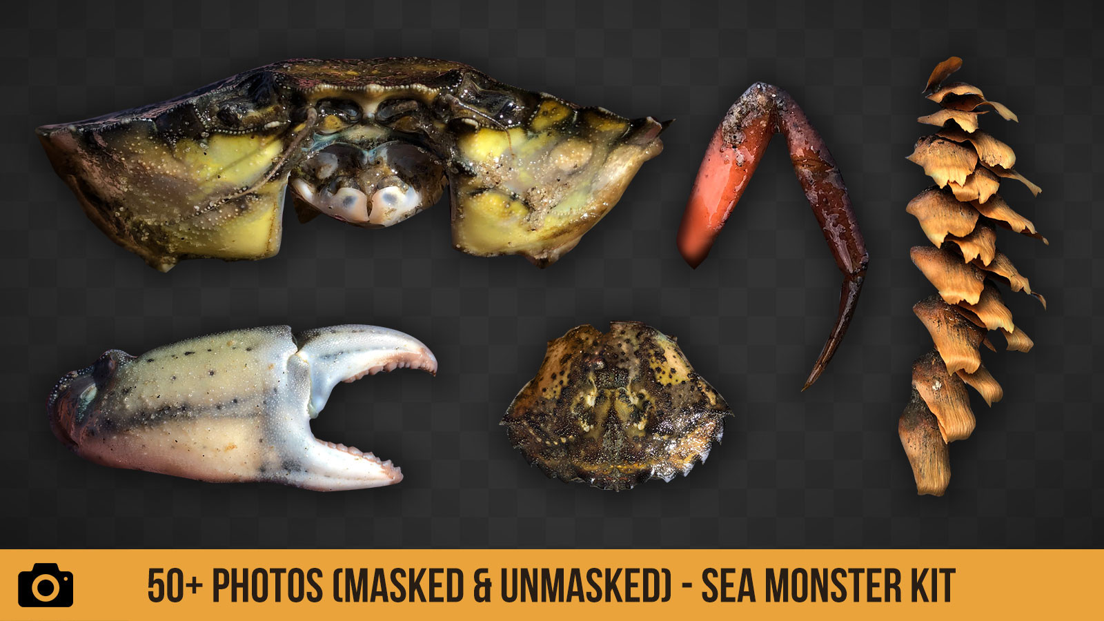 Jens Fiedler - Sea Monster Kit - 50 Photos (masked & unmasked)