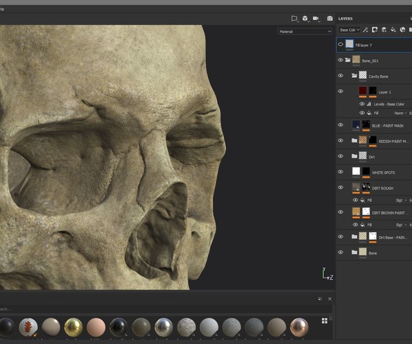 ArtStation - Human Skull - Ready to Render - Cinema 4D + Redshift ...