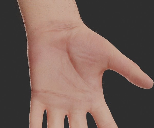 ArtStation - Human Hand Alphas | Resources