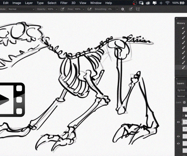 ArtStation - creature concept tutorial | Tutorials