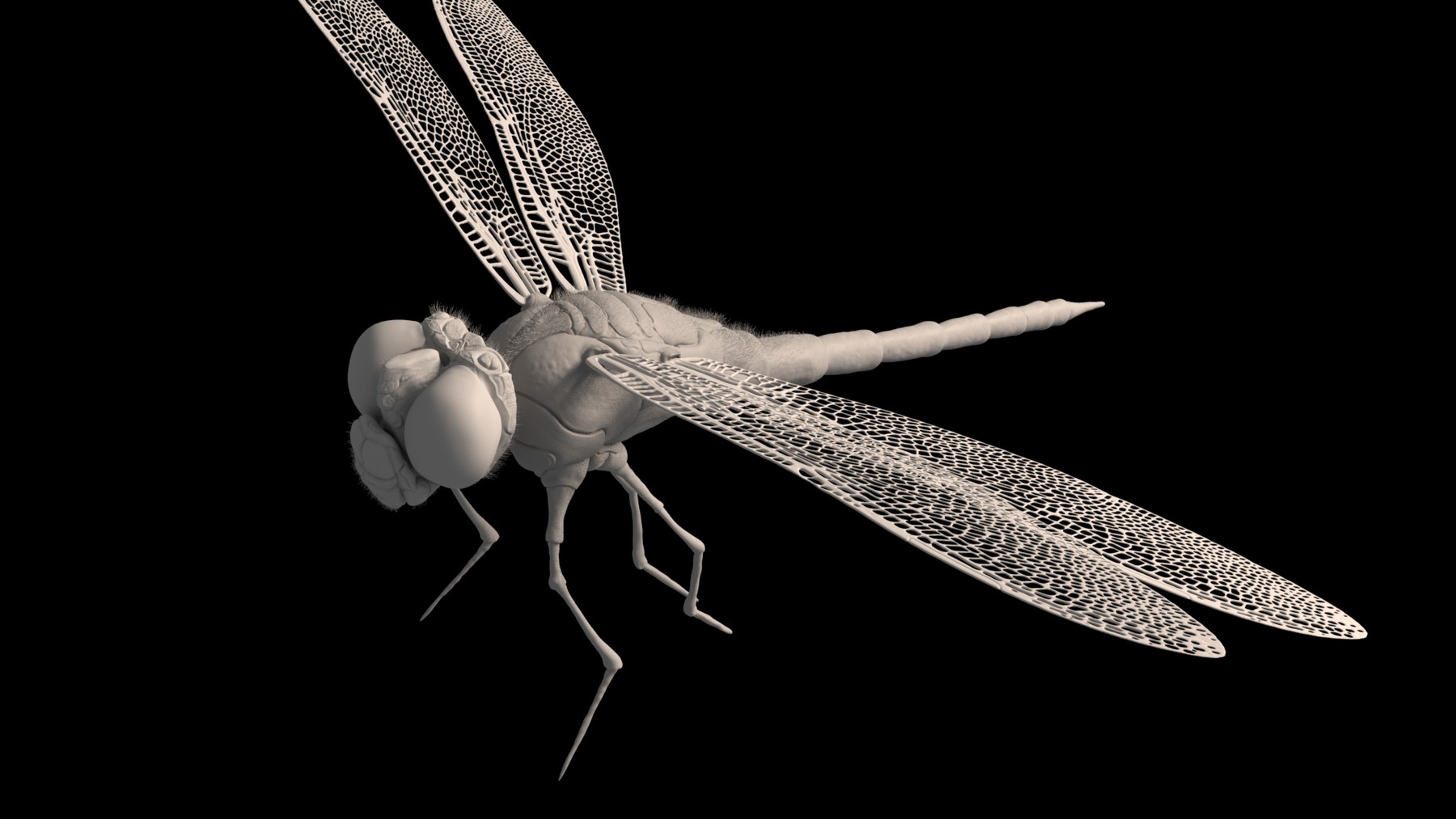 ArtStation - Dragon Fly 3D model | Resources