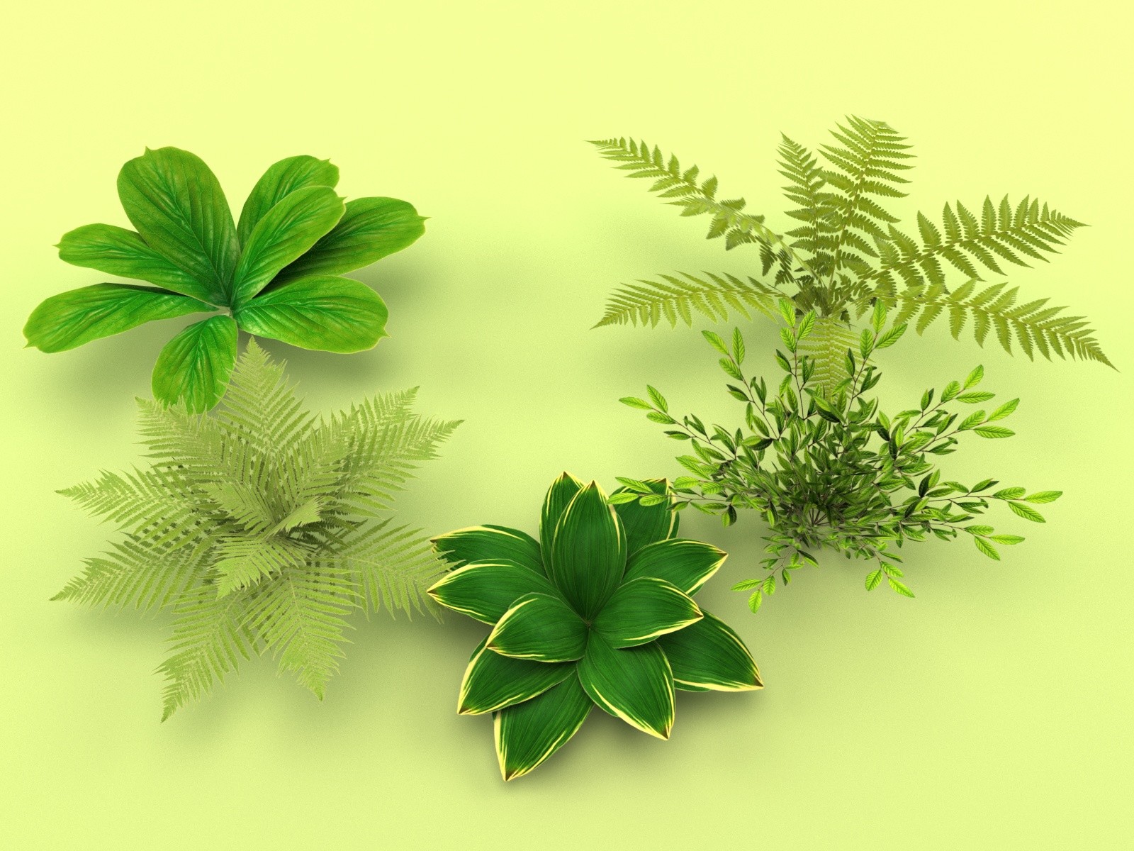 ArtStation - Bush 5in1 Low-poly 3D model | Resources