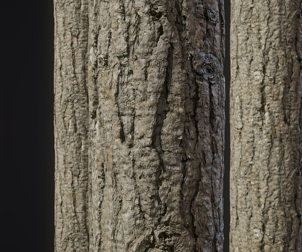 ArtStation - Tree Bark Vol.1 | Resources