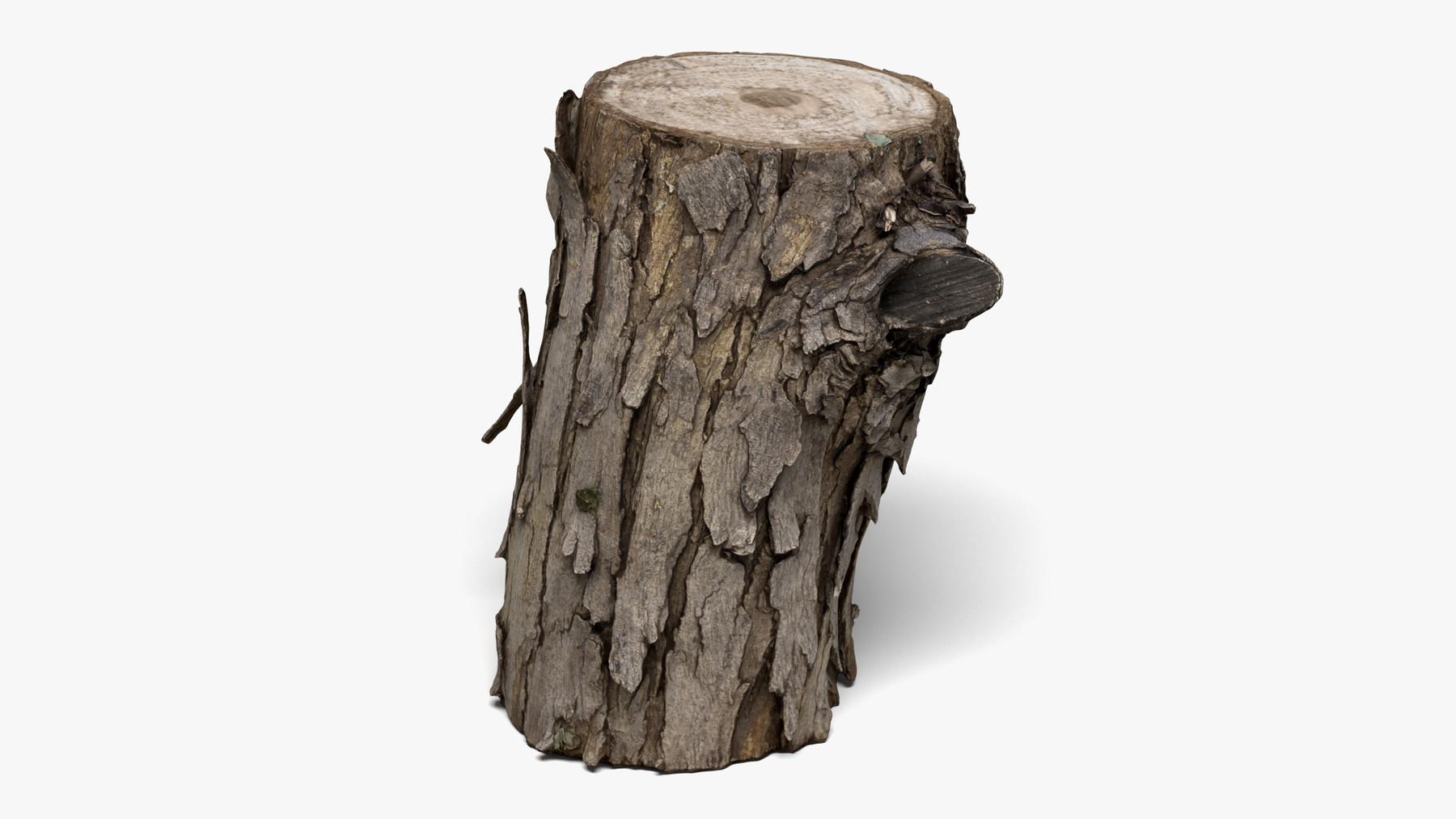 ArtStation - Wood Log - 8K Scan | Game Assets