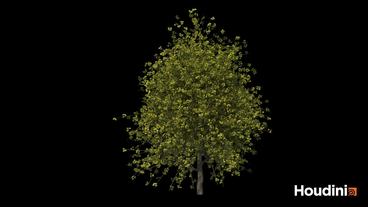 ArtStation - Houdini Tree Generator | Resources