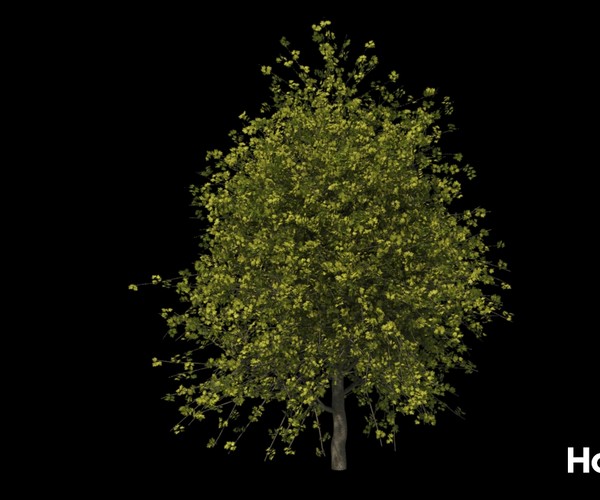ArtStation - Houdini Tree Generator | Resources