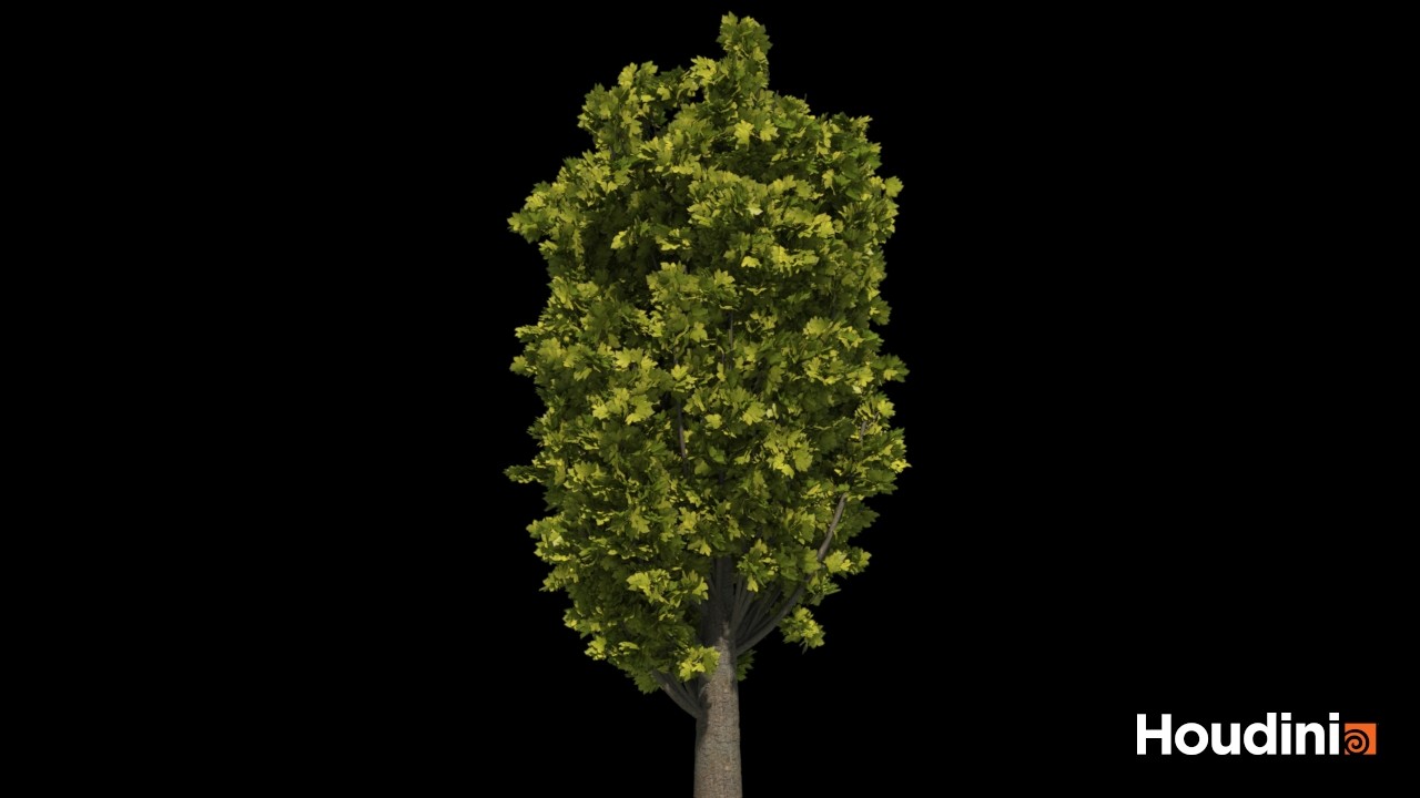 ArtStation - Houdini Tree Generator | Resources