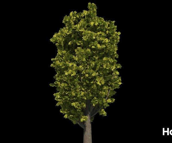 ArtStation - Houdini Tree Generator | Resources