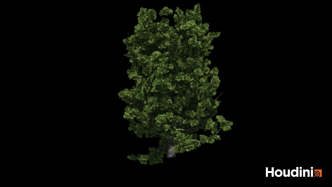 ArtStation - Houdini Tree Generator | Resources
