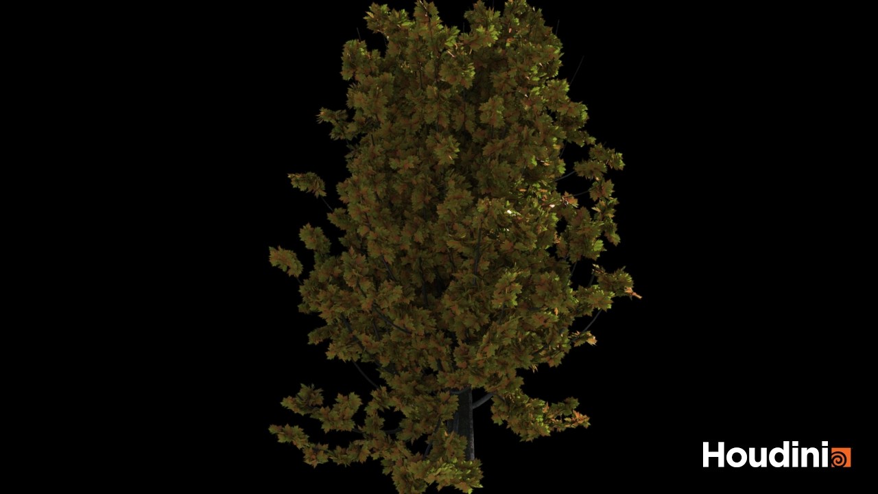 ArtStation - Houdini Tree Generator | Resources