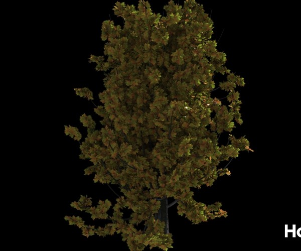 ArtStation - Houdini Tree Generator | Resources