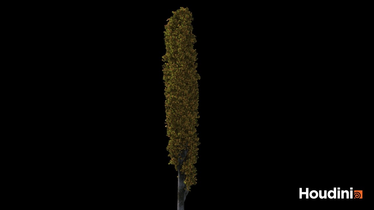 ArtStation - Houdini Tree Generator | Resources