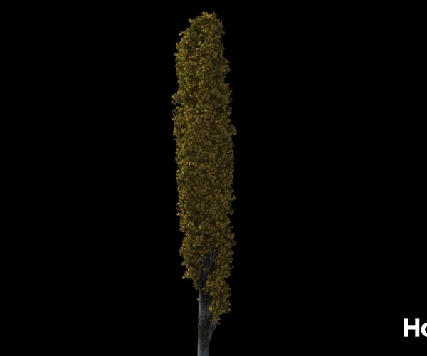 ArtStation - Houdini Tree Generator | Resources