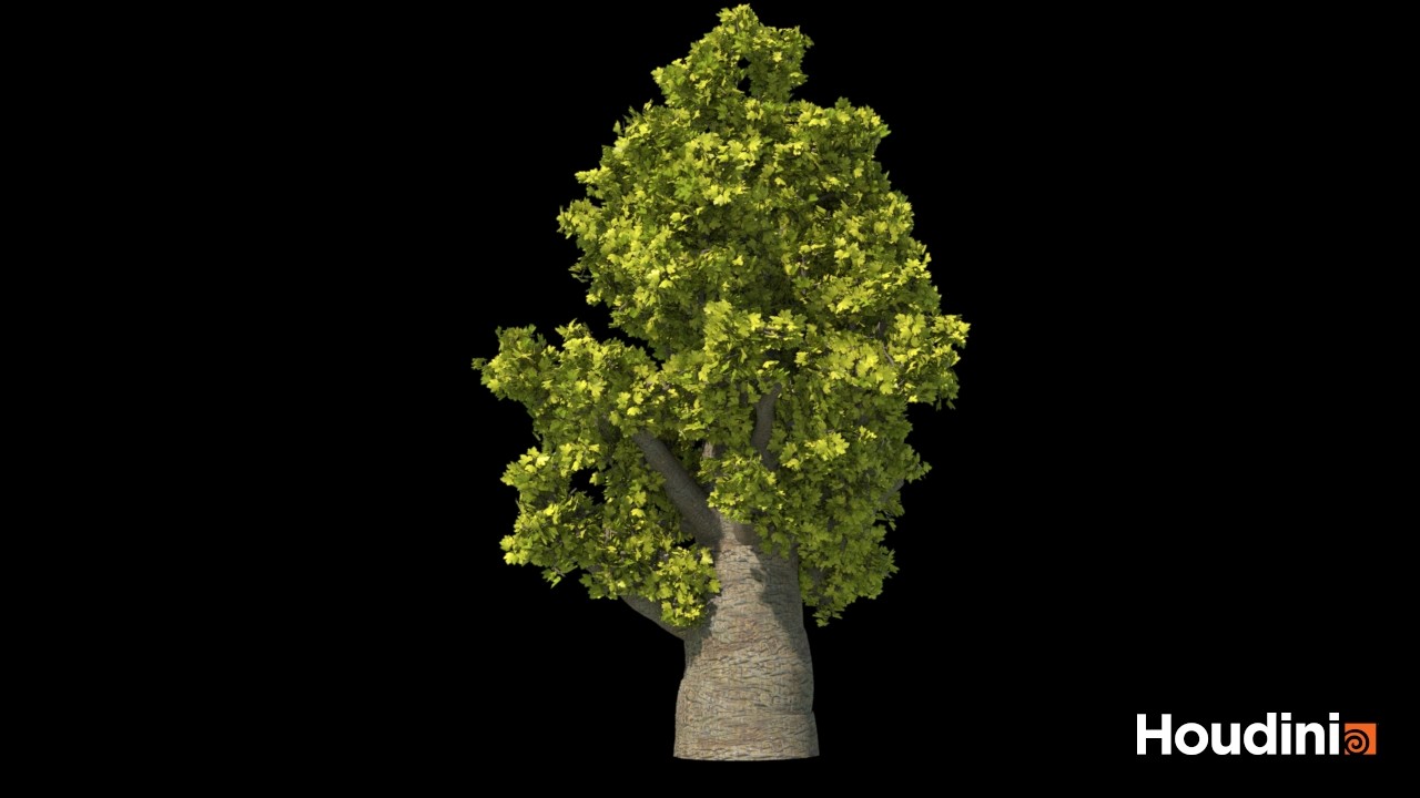 ArtStation - Houdini Tree Generator | Resources
