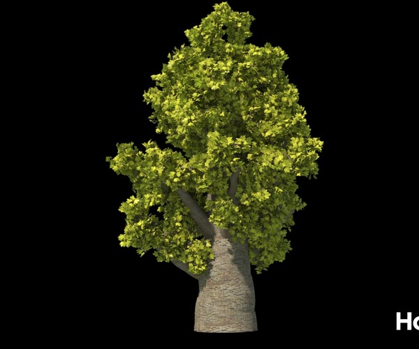 ArtStation - Houdini Tree Generator | Resources