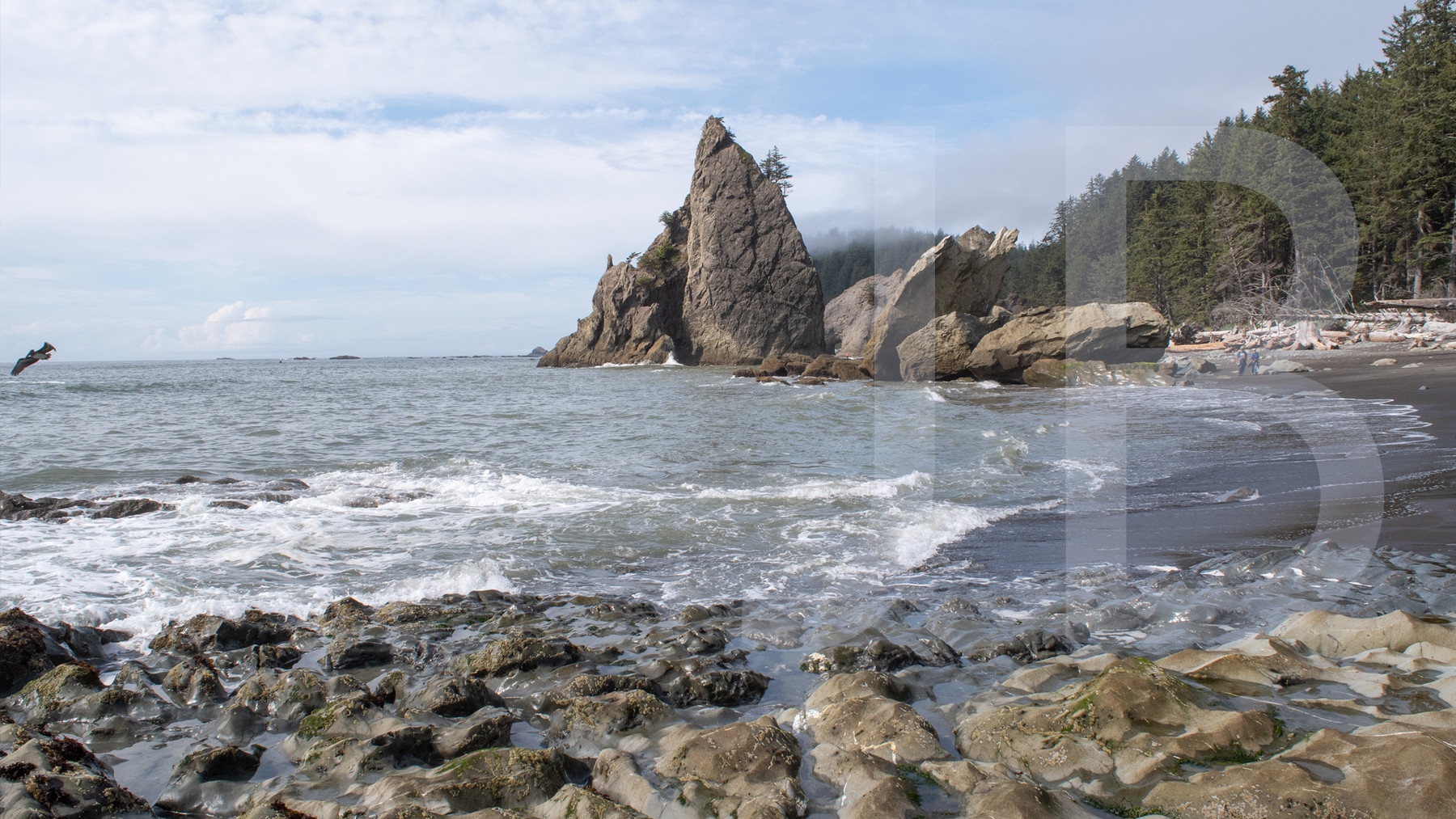 ArtStation - Pacific Coast | Photo Reference Pack | Resources