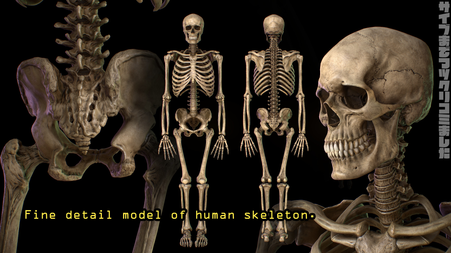 Kohichi Waseda - Skeleton FullBody Models&Textures