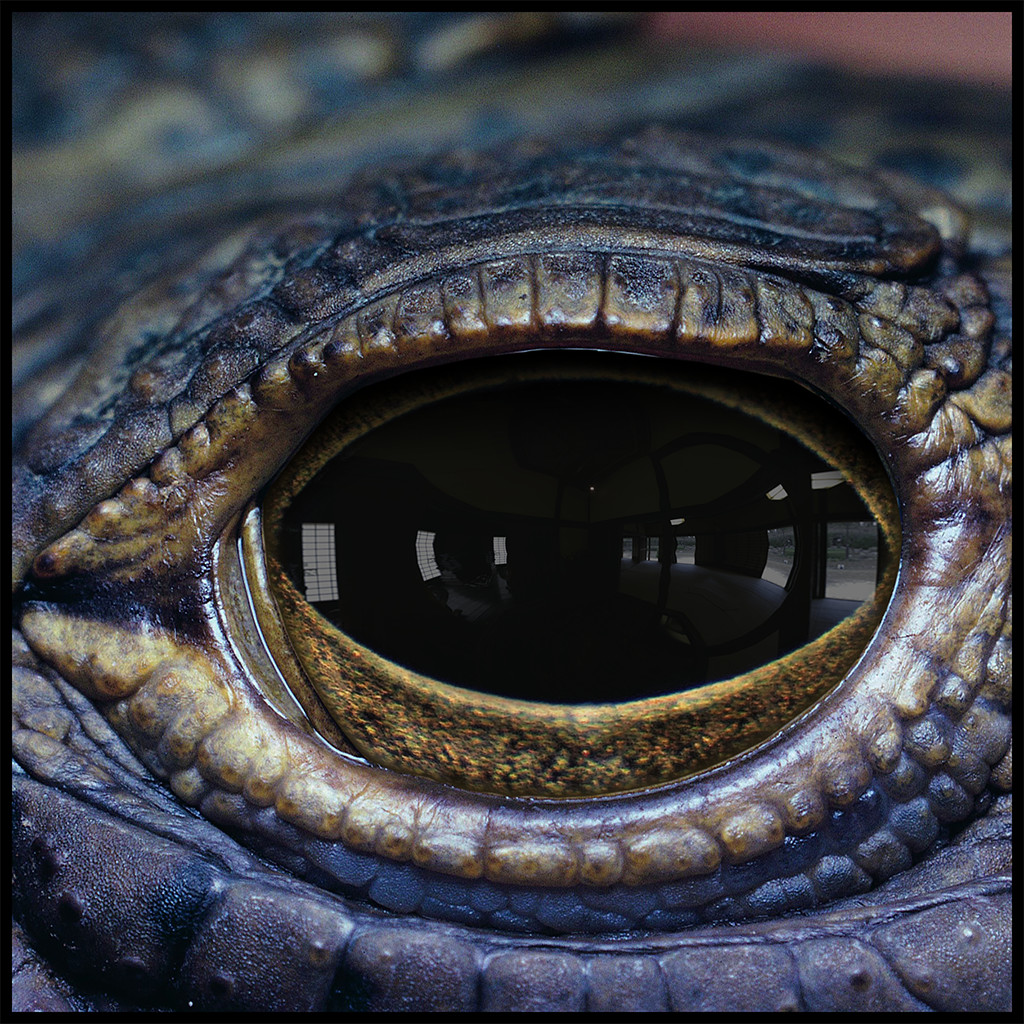 ArtStation - Creature Eye Textures - Vol 02 | Resources