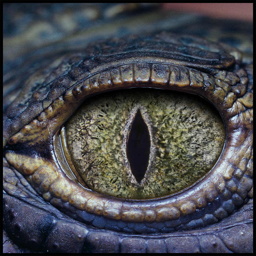 ArtStation - Creature Eye Textures - Vol 02 | Resources