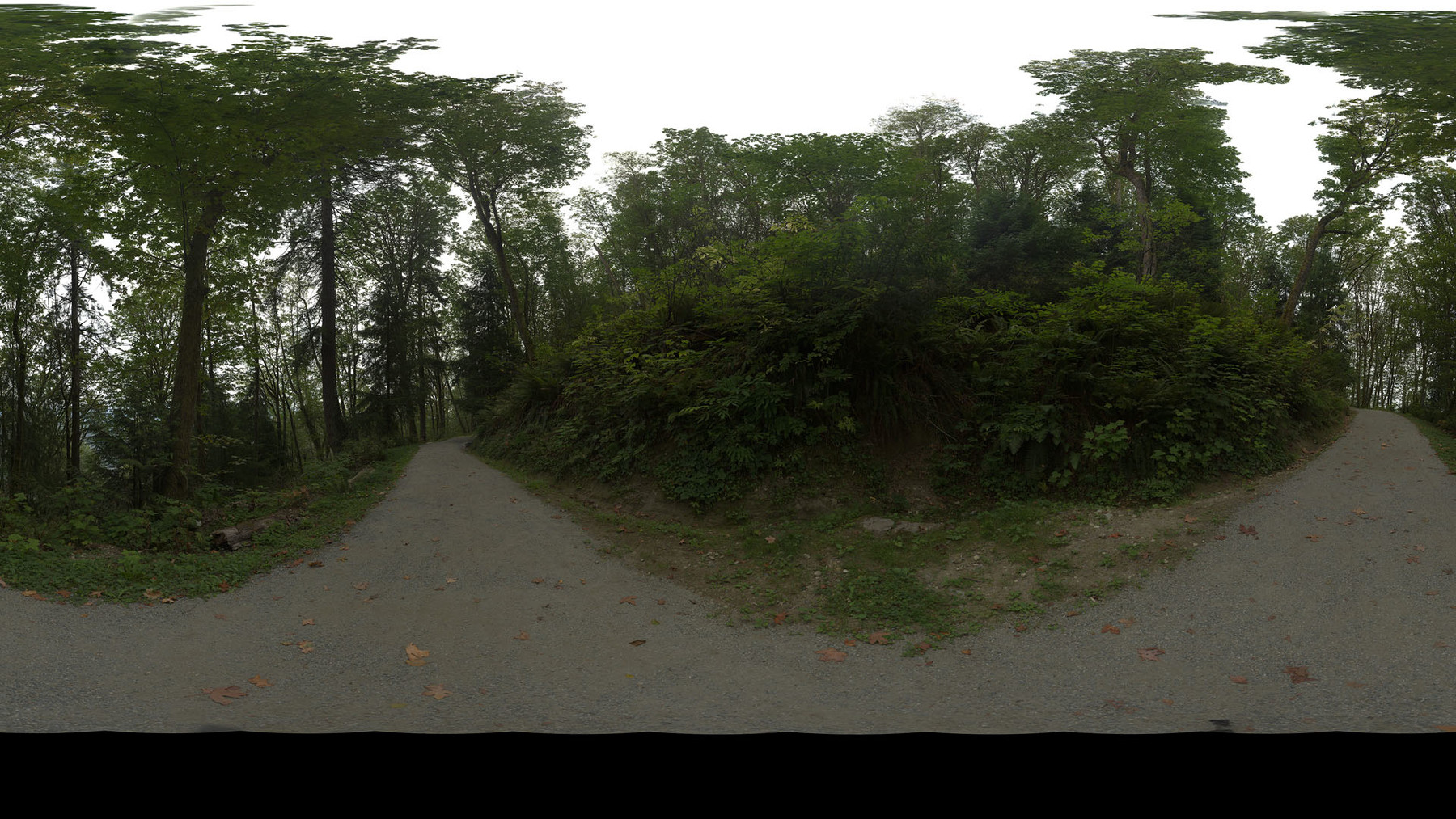 ArtStation - Panosphere Forest Pack 01 | Resources