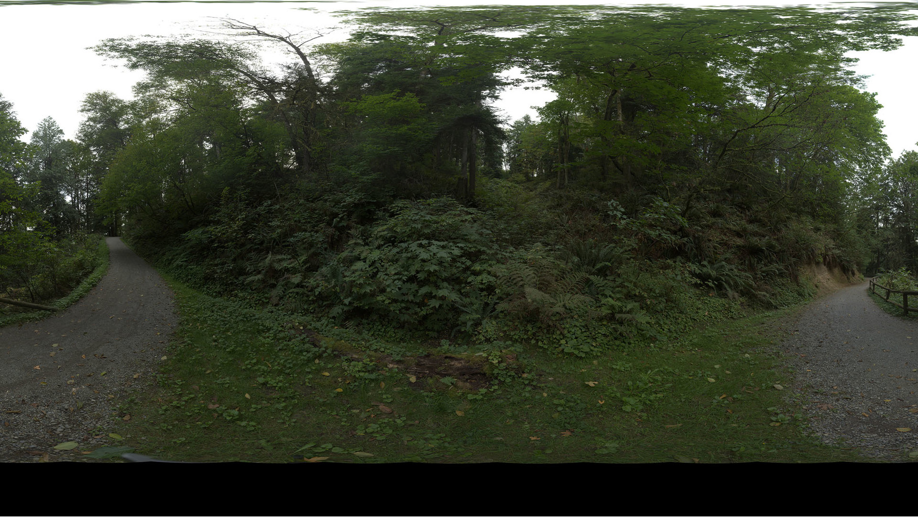 ArtStation - Panosphere Forest Pack 01 | Resources