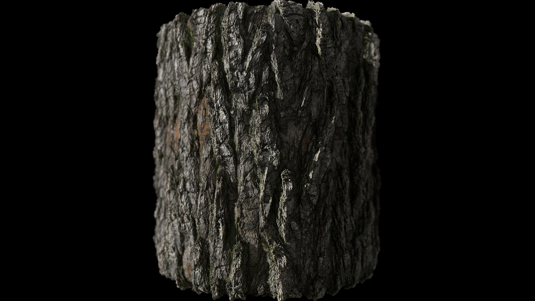 ArtStation - 134. Bark#04 | Game Assets