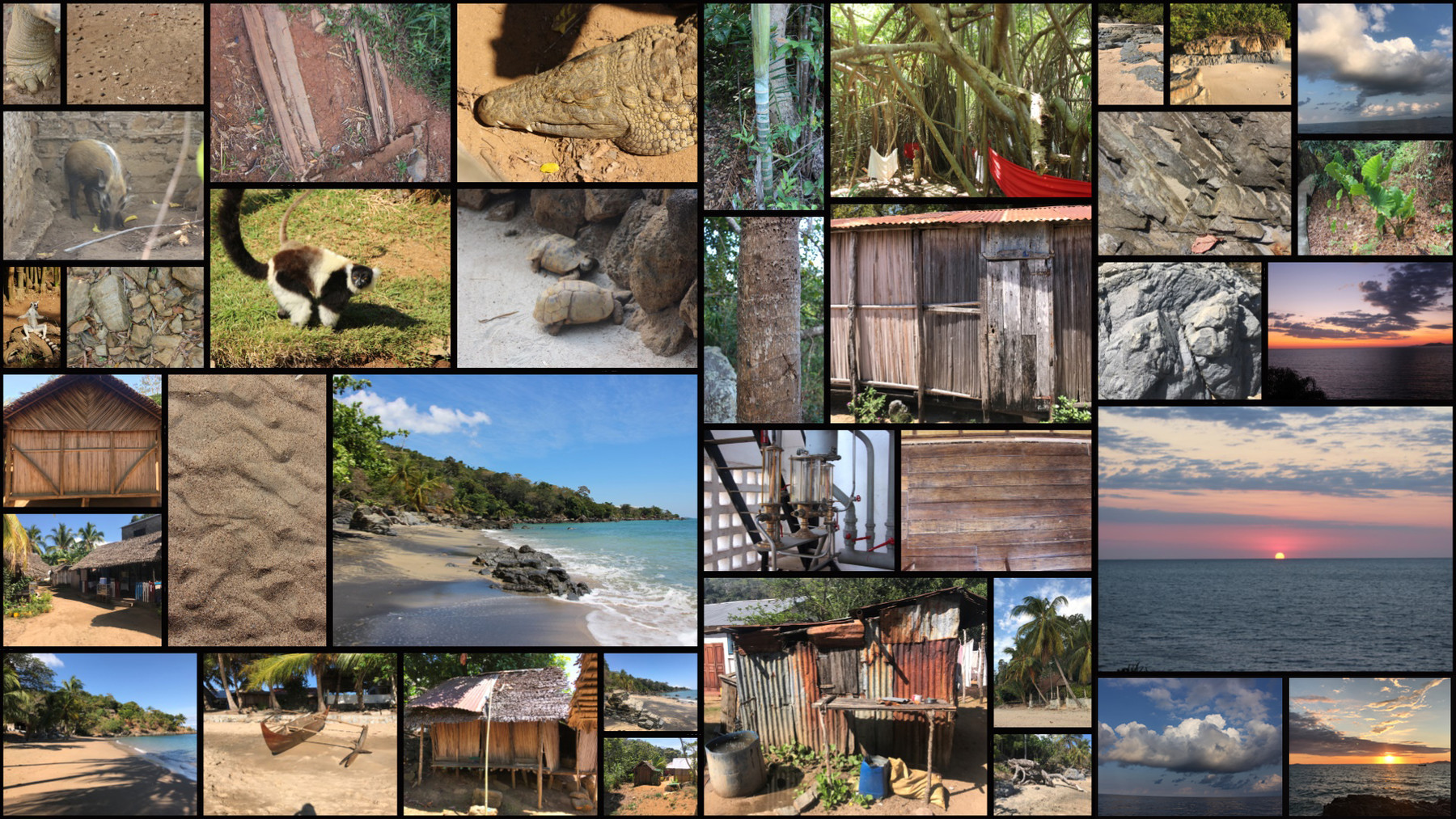 ArtStation - Tropical Island Photo Pack | Resources