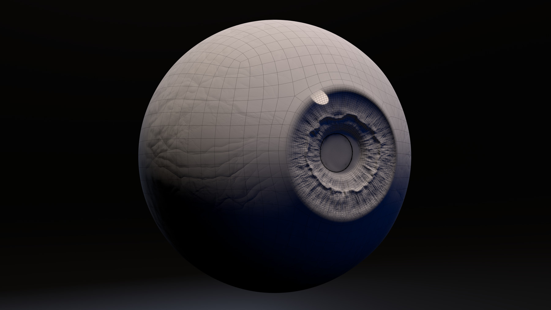 ArtStation - Photorealistic Eye with Pupil Dilation and Constriction 2. ...