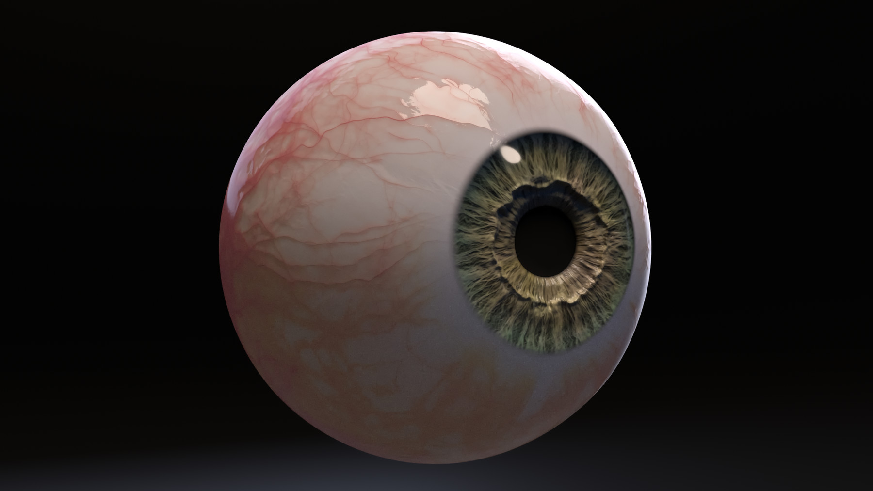 ArtStation - Photorealistic Eye with Pupil Dilation and Constriction 2. ...