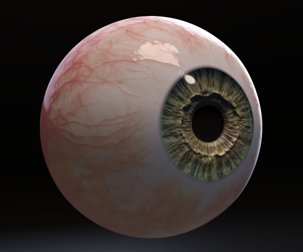 Artstation Photorealistic Eye With Pupil Dilation And Constriction 20 Resources
