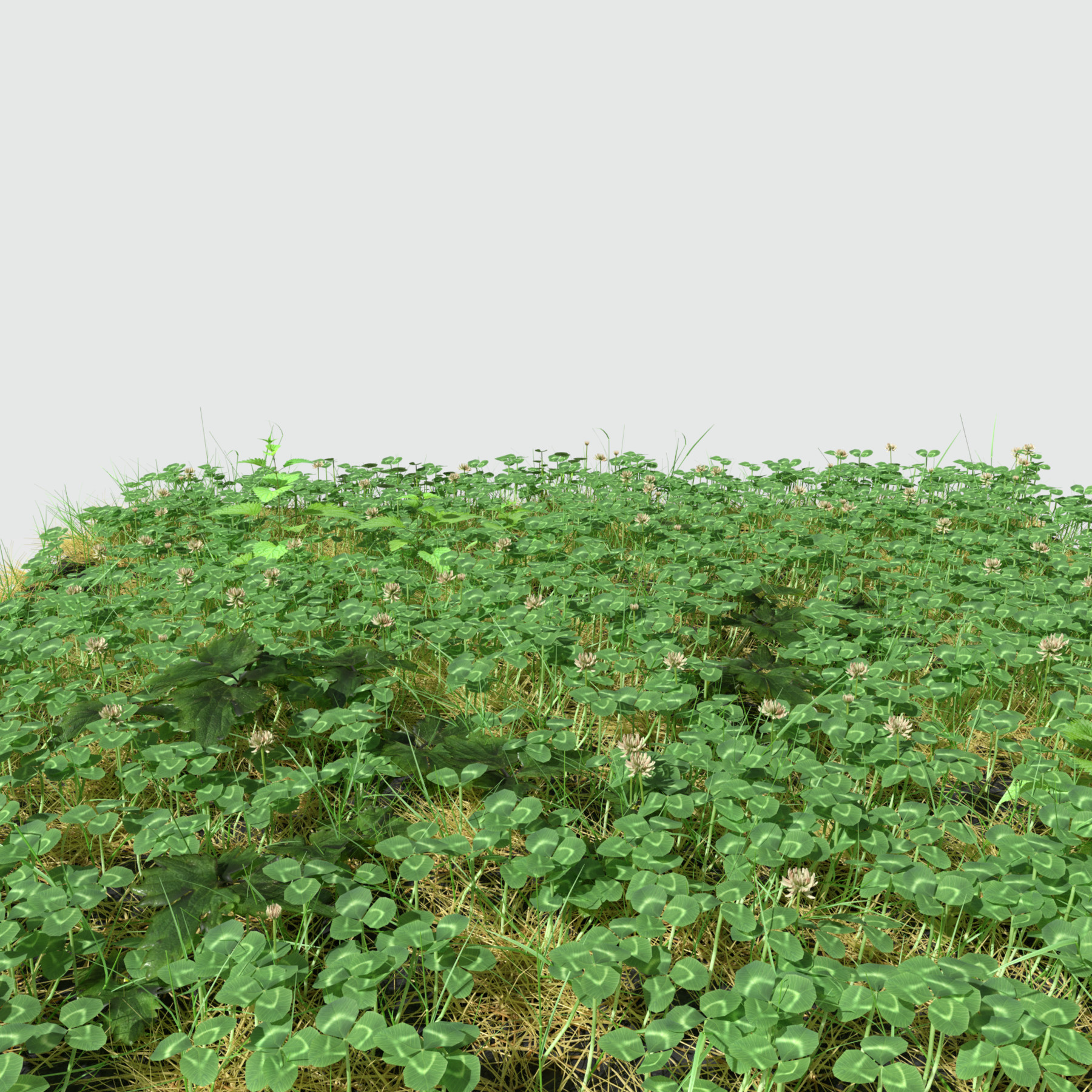 ArtStation - Clover Meadow Patch | Resources