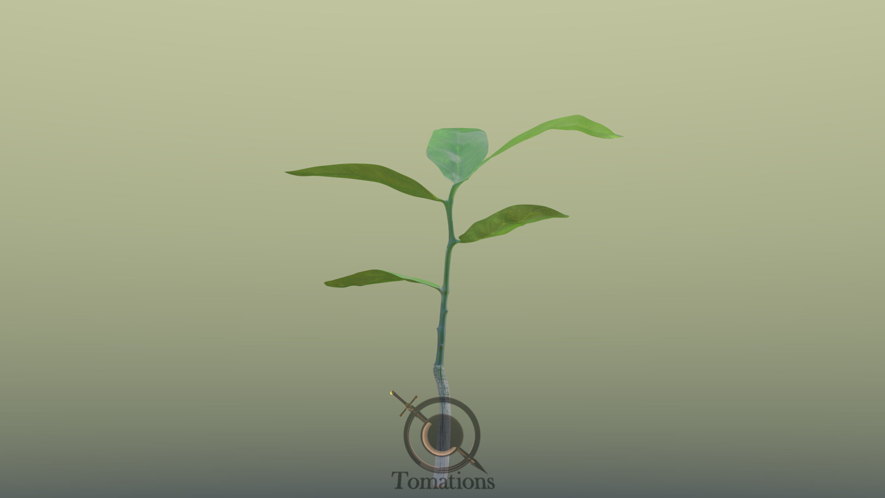 ArtStation - Sprout | Resources