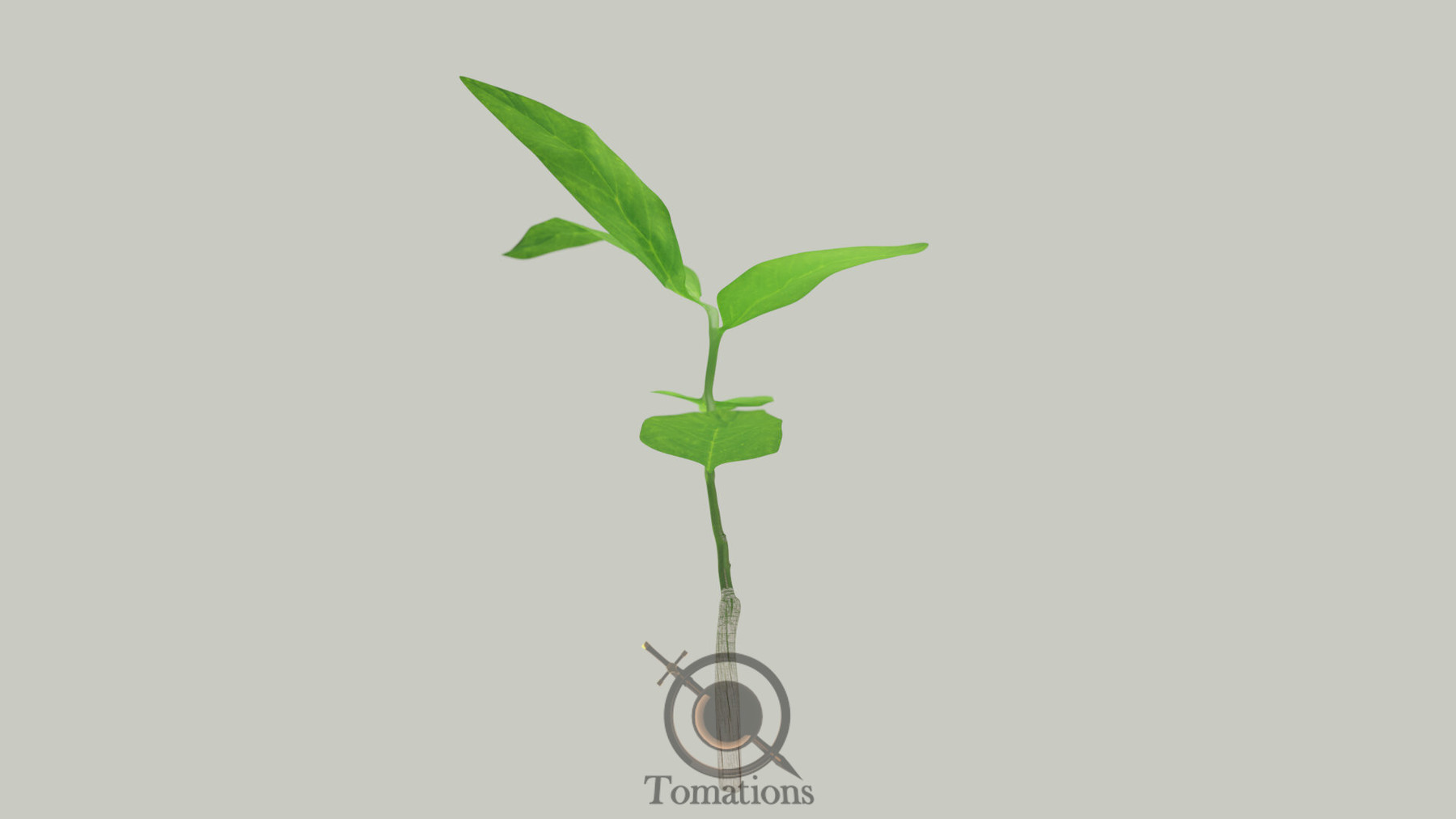 ArtStation - Sprout | Resources