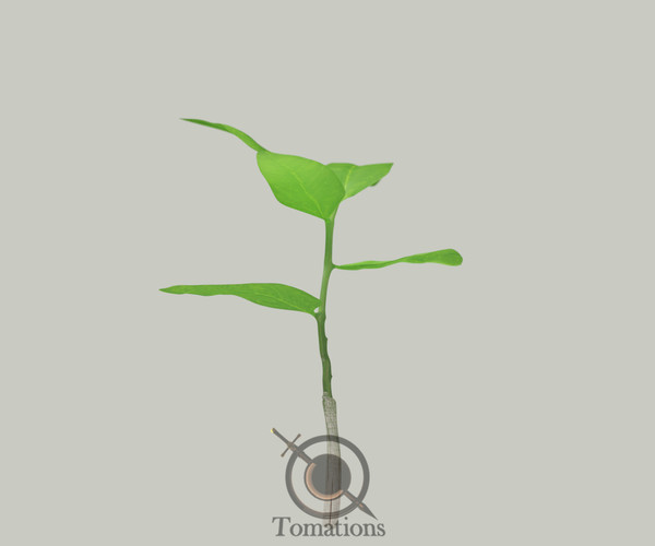 ArtStation - Sprout | Resources