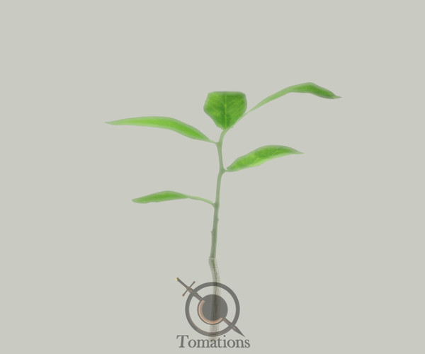 ArtStation - Sprout | Resources