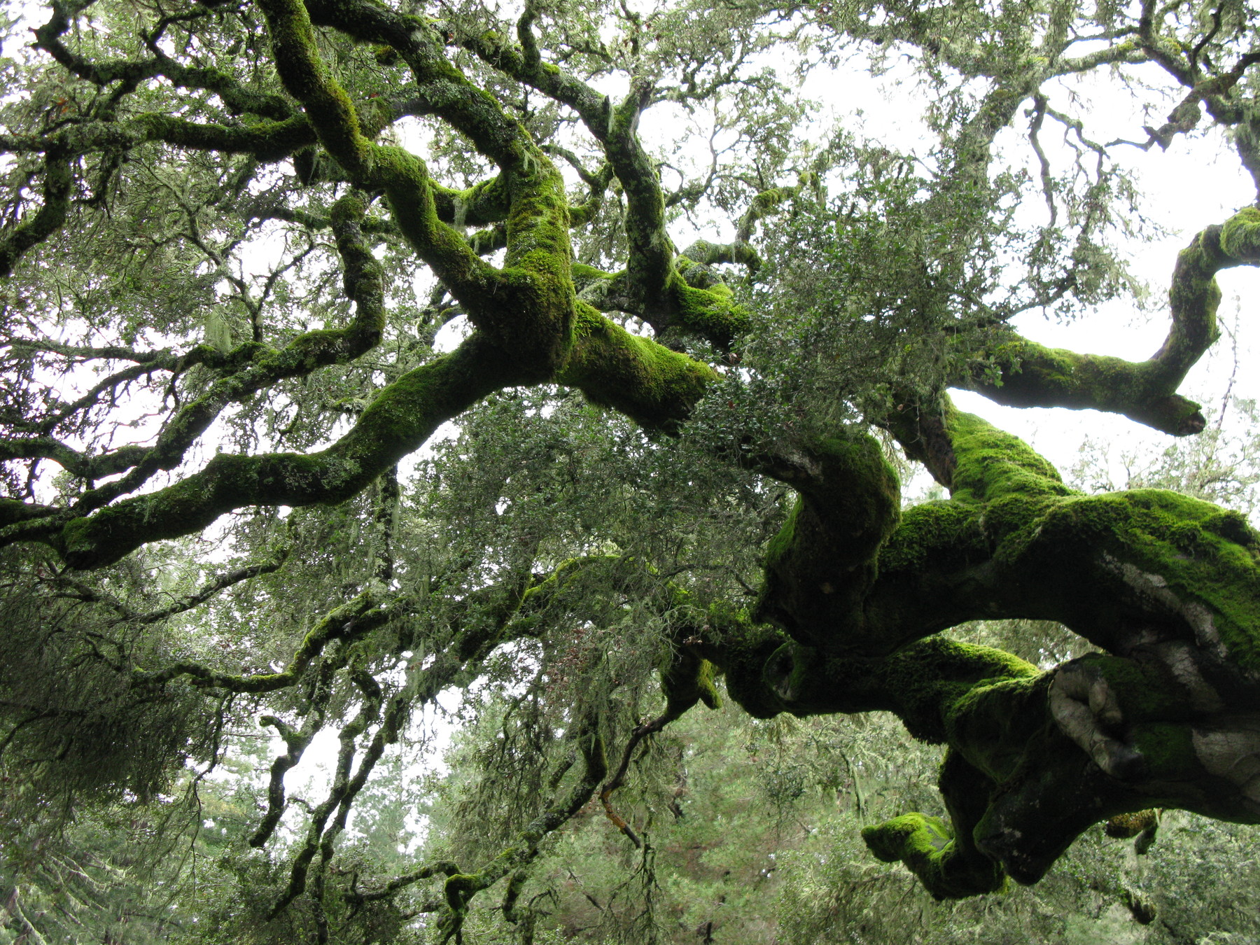 ArtStation - Misc. Environment Reference Pack | Resources