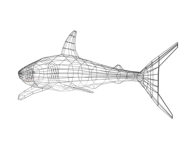 ArtStation - Low Poly Fish Collection | Resources