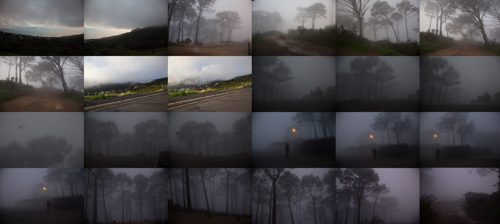 ArtStation - Misty Trees | Resources